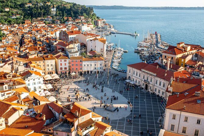 From Ljubljana: Piran Half day tour - What to Expect from the Tour