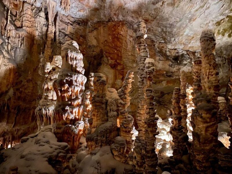 From Ljubljana: Postojna Cave Day Trip - An In-Depth Look at the Postojna Cave Day Trip