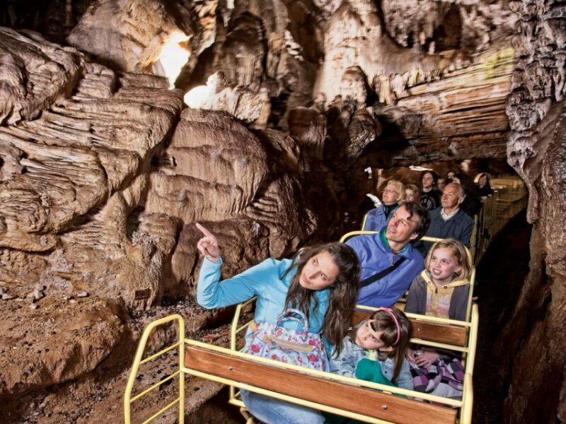 From Ljubljana: Postojna Cave & Predjama Castle Half-Day - Why This Tour Works for You