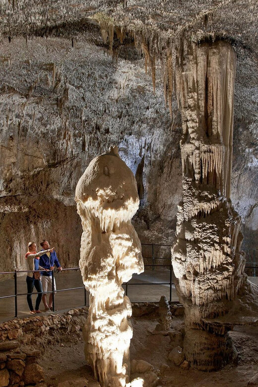From Ljubljana: Postojna Cave, Predjama Castle, & Piran Tour - Why This Tour Suits Certain Travelers Best