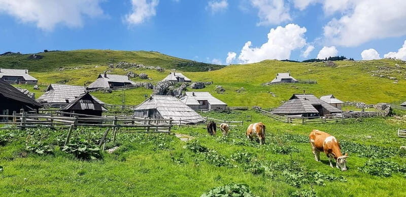 From Ljubljana: Velika Planina Guided Hike - Key Points