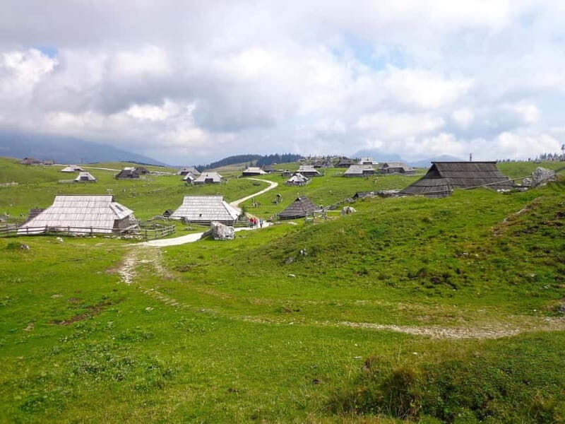 From Ljubljana: Velika Planina Guided Hike - Why Choose the Velika Planina Guided Hike?