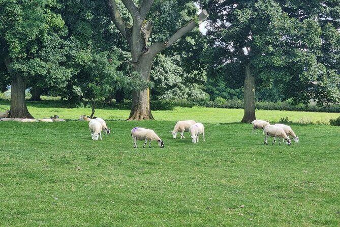 From London: 7 Unmissable Cotswolds Stops Small-Group Tour - FAQs