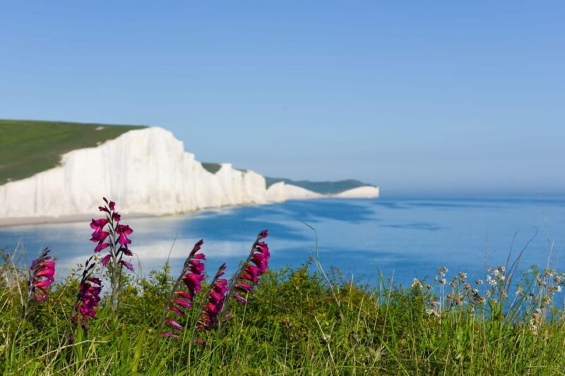 From London: Seven Sisters and Brighton Full-Day Tour - Cost and Value Analysis