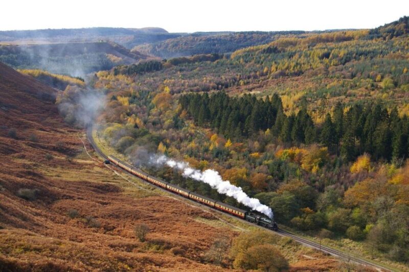 From London: The North York Moors with Steam Train to Whitby - Who Will Enjoy This Tour?