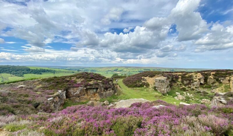 From London: The North York Moors with Steam Train to Whitby - Summary
