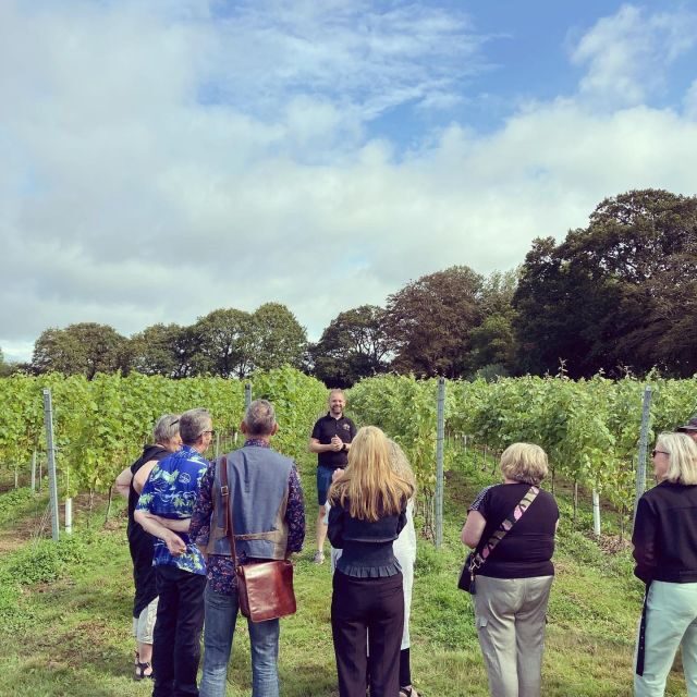 From London: Vintage Bus Wine Tour with Return Train Tickets - Final Thoughts