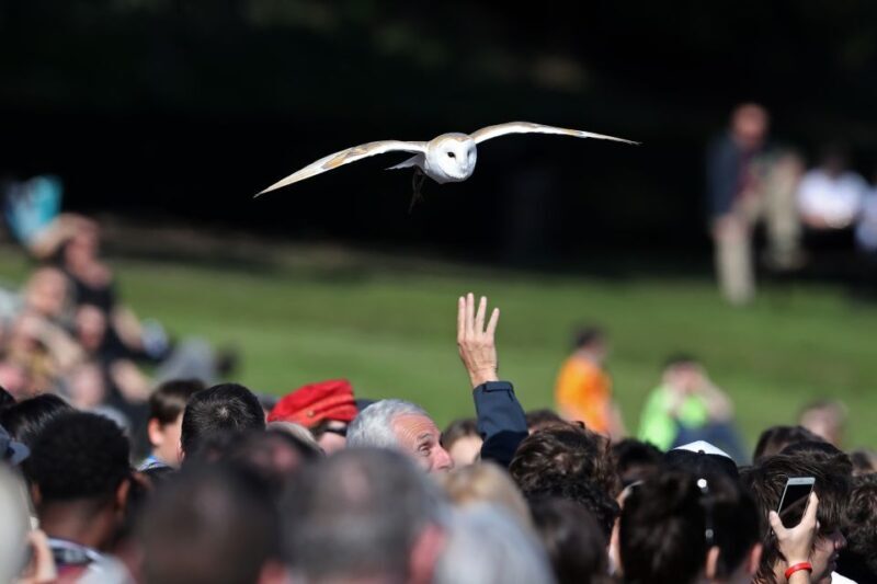 From London: Warwick Castle Day Trip by Rail - Value and Pricing: Is It Worth It?