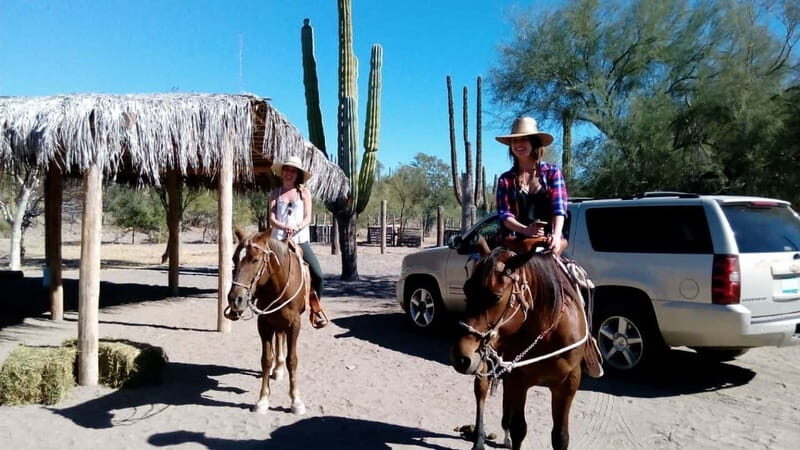 From Loreto: Baja Desert Horseback Riding Tour - Discovering the Baja Desert from the Saddle