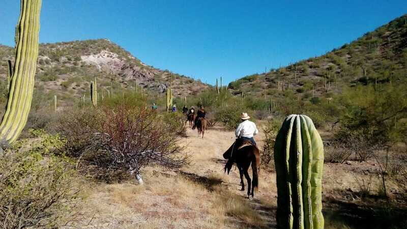 From Loreto: Baja Desert Horseback Riding Tour - The Value and Practicalities