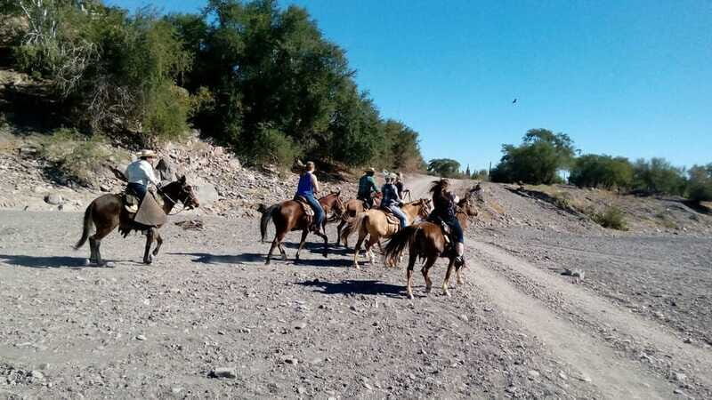 From Loreto: Baja Desert Horseback Riding Tour - FAQs