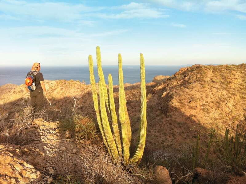 From Loreto: Canipole Cave Painting Guided Hike - Authentic Experiences and Authenticity
