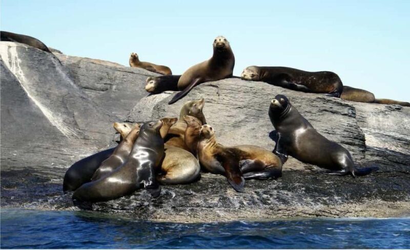 From Loreto: Coronado Island Snorkel - The Itinerary & What to Expect