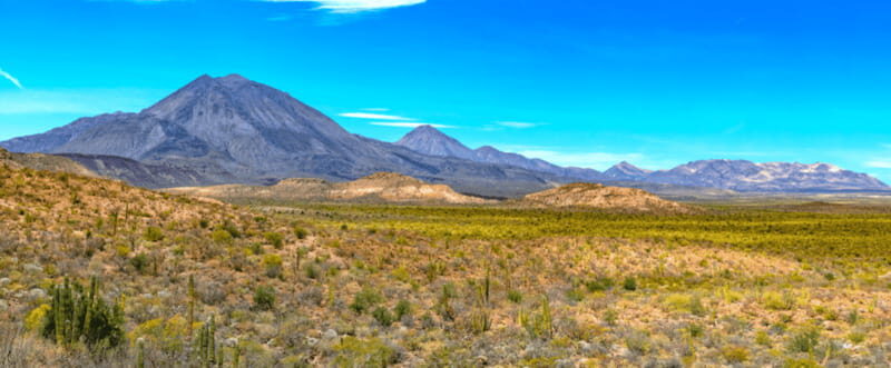 From Los Cabos: City Tour La Paz, Balandra and Todos Santos - A Scenic Stop at Playa El Coromuel