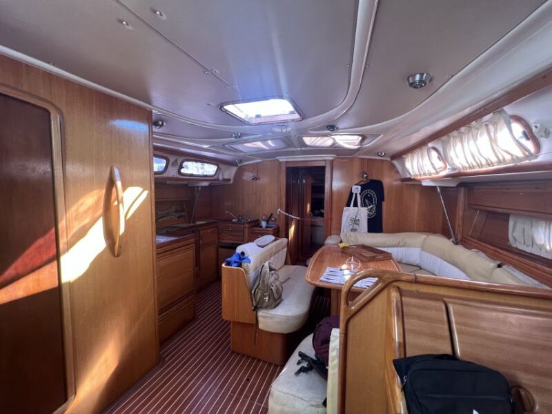 From Los Gigantes: Whale Watching Sailboat Cruise - Who Will Love This Tour?