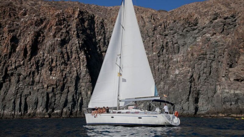 From Los Gigantes: Whale Watching Sailboat Cruise - FAQ
