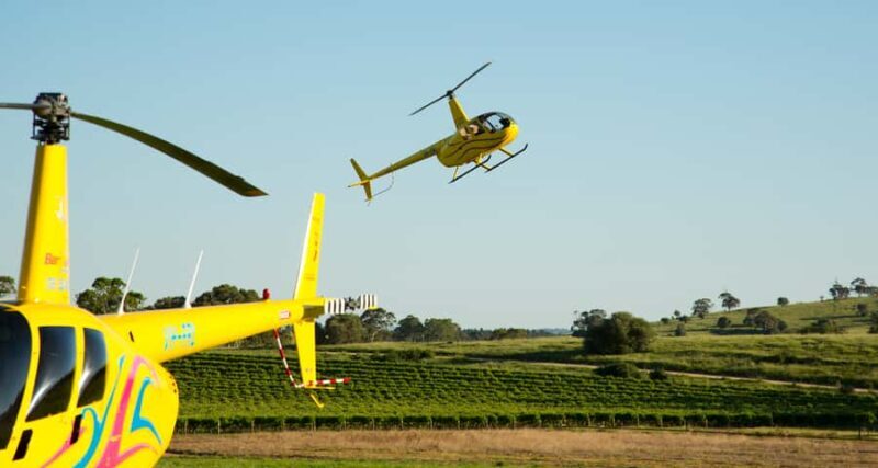 From Lyndoch: Barossa Valley 15-Minute Helicopter Flight - Key Points