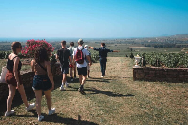 From Lyon : Beaujolais Private Day Tour by Vintage Defender - How the Day Unfolds