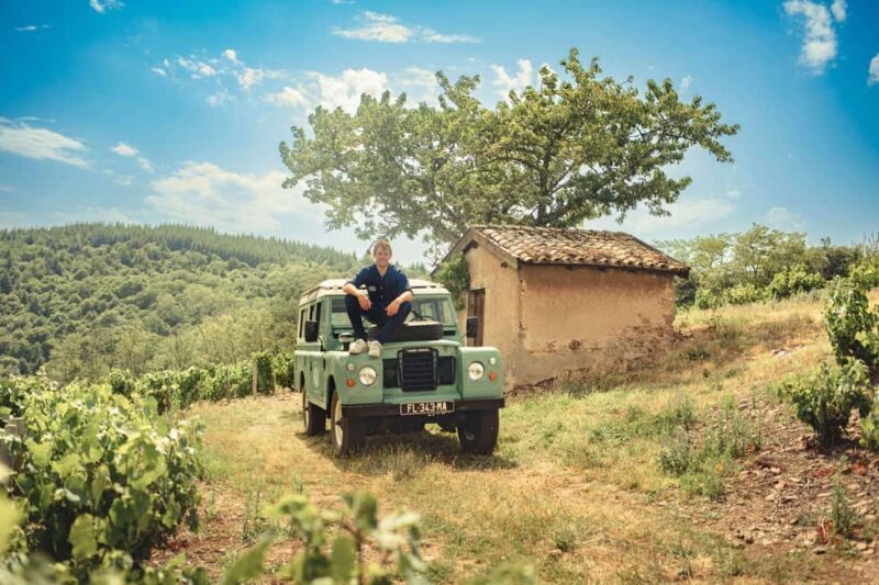 From Lyon : Beaujolais Private Day Tour by Vintage Defender - Analyzing the Price and Value