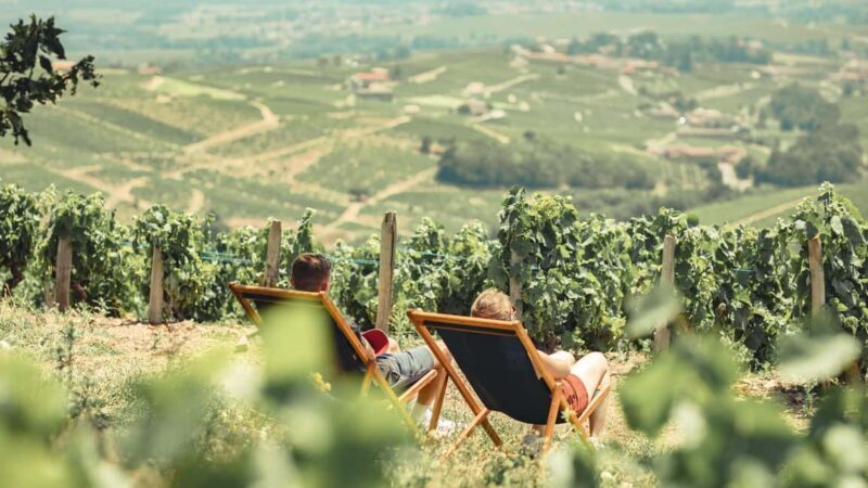 From Lyon : Beaujolais Private Day Tour by Vintage Defender - Who Will Love This Tour?