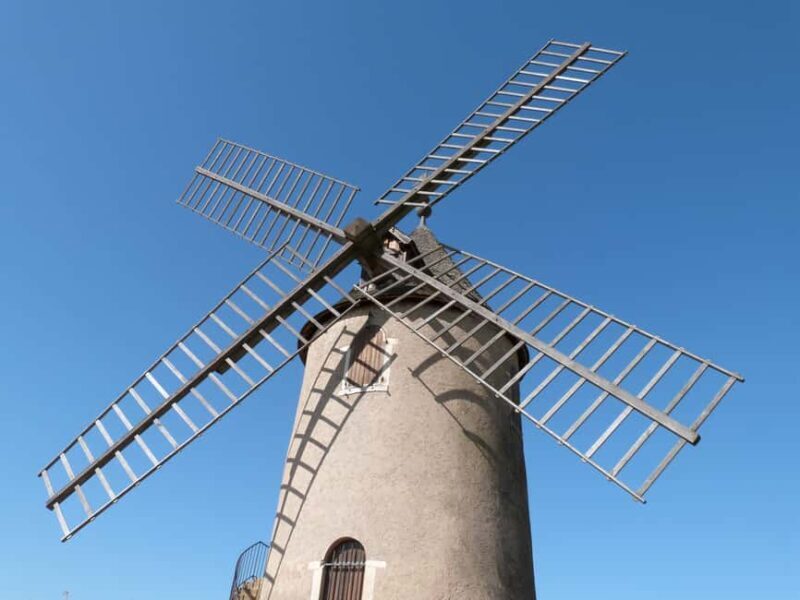 From Lyon: Beaujolais Wine Route Half-Day Tour - Who Will Love This Tour?