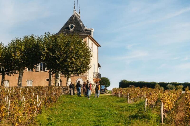 From Lyon: Beaujolais Wine Tour with Tastings - Key Points