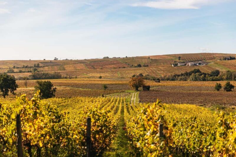 From Lyon: Beaujolais Wine Tour with Tastings - An In-Depth Look at the Tour Itinerary