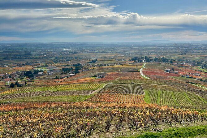 From Lyon: Full-Day Private Tour of Beaujolais - Key Points