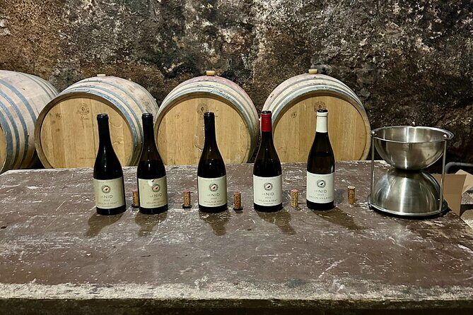 From Lyon: Full-Day Private Tour of Beaujolais - Why Choose a Full-Day Private Tour of Beaujolais from Lyon?