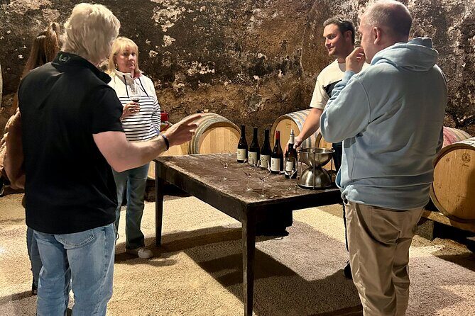 From Lyon: Full-Day Private Tour of Beaujolais - Analyzing the Value