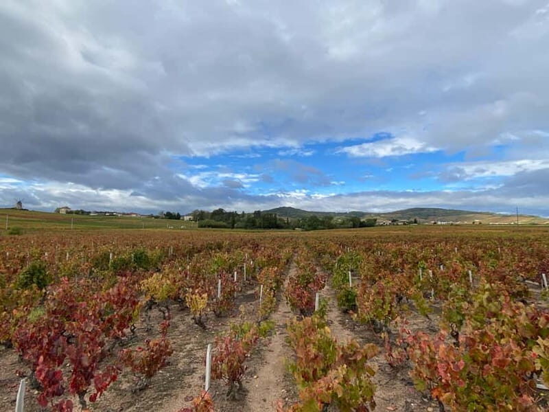 From Lyon: Private Beaujolais Tour, Tastings & Restaurant - Frequently Asked Questions