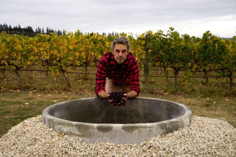 From Lyttelton: Private Wine Tour & Chefs Degustation - Authentic Insights from Past Guests