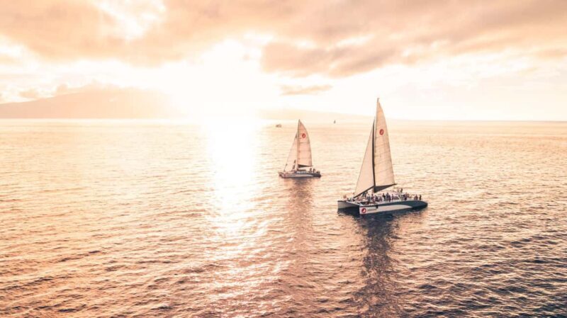 From Ma'alaea: 'Alihilani Sunset Sail Catamaran Tour - Value & Price Consideration