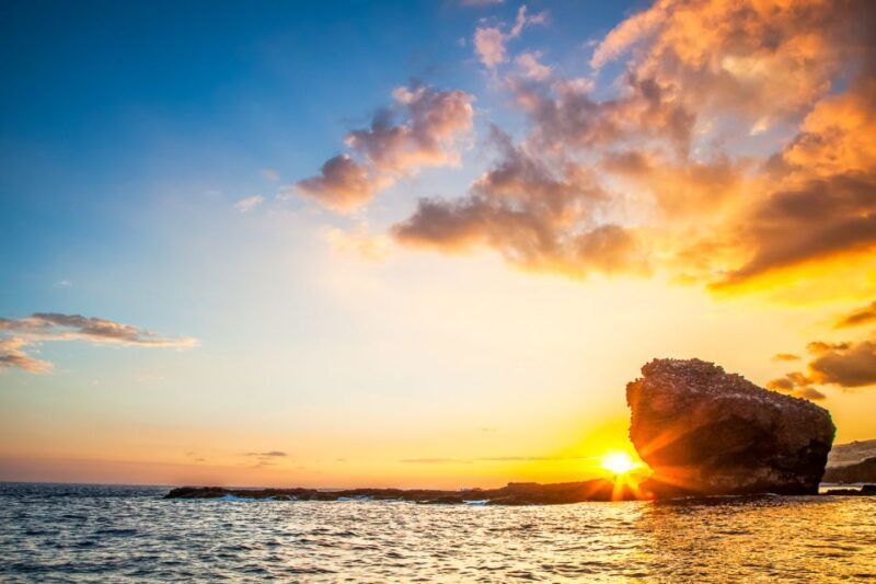 From Ma'alaea: AM Turtle Town Snorkel Aboard Quicksilver - Who Should Book This Tour?