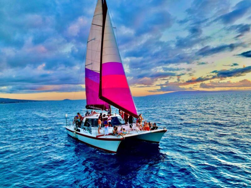 From Maalaea: Whale Watching Catamaran Cruise with Drinks - The Itinerary: What Will You Experience?