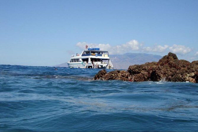 From Maalaea: Whale Watching Tour Aboard the Quicksilver - The Sum Up