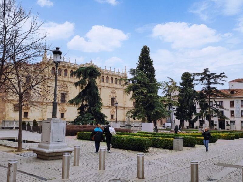 From Madrid: Alcalá de Henares & Cervantes Museum Day Trip - Practical Tips for the Tour
