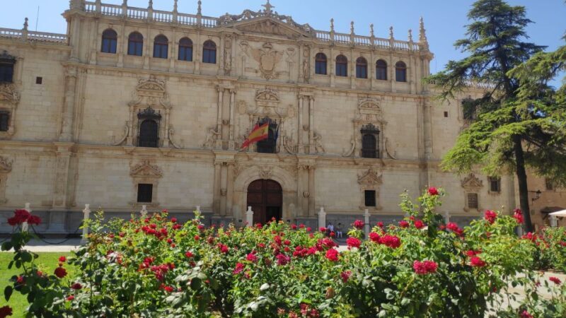 From Madrid: Alcalá de Henares & Cervantes Museum Day Trip - FAQ