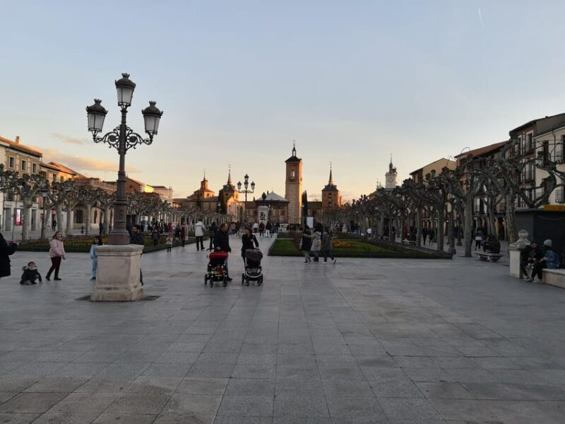 From Madrid: Alcalá de Henares, Winery Tour & Wine Tasting - Key Points