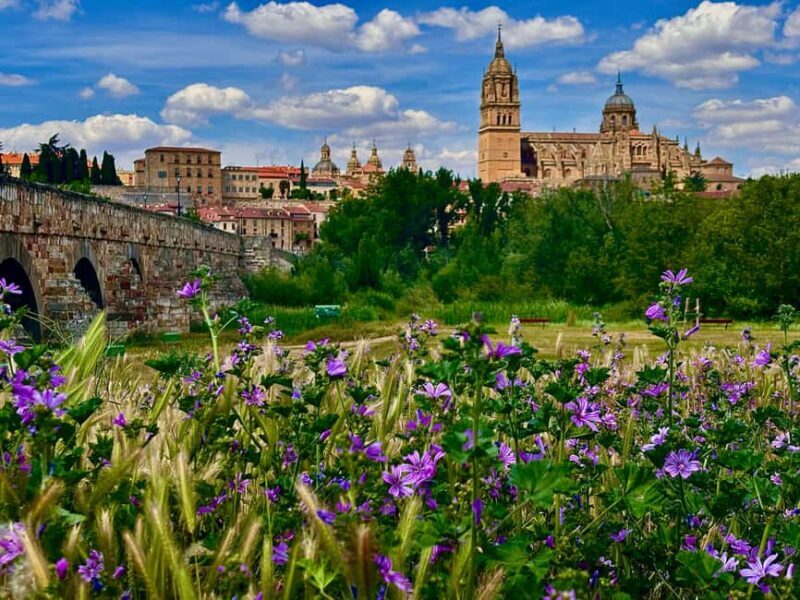 From Madrid: Ávila and Salamanca, a day among history and walls - FAQ