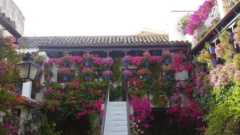 From Madrid: Cordoba and Mosque Day Trip by High-Speed Train - FAQ