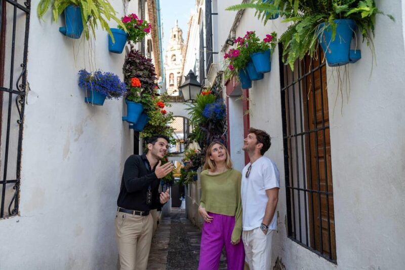 From Madrid: Córdoba Private Day Tour by High-Speed Train - Key Points