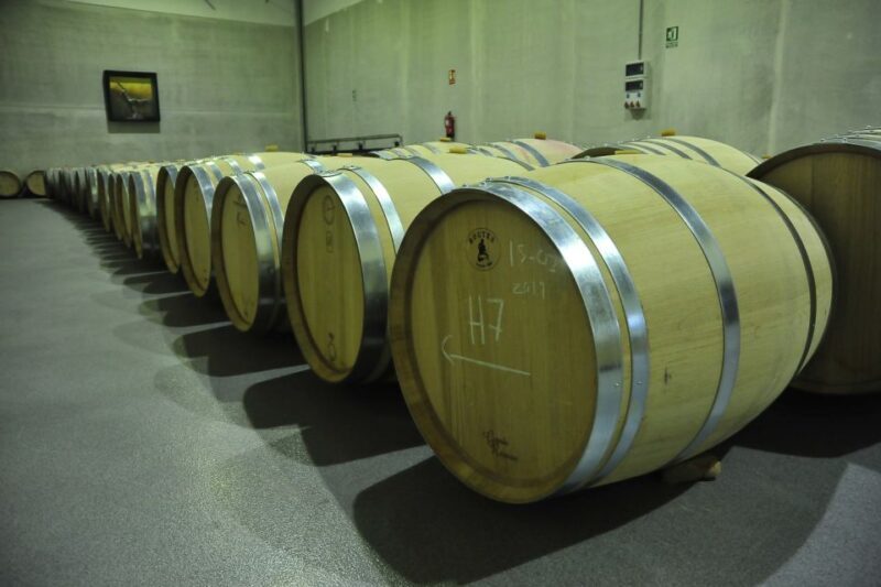 From Madrid: Ribera del Duero Tour of 3 Wineries w/ Tastings - An In-Depth Look at the Ribera del Duero Experience