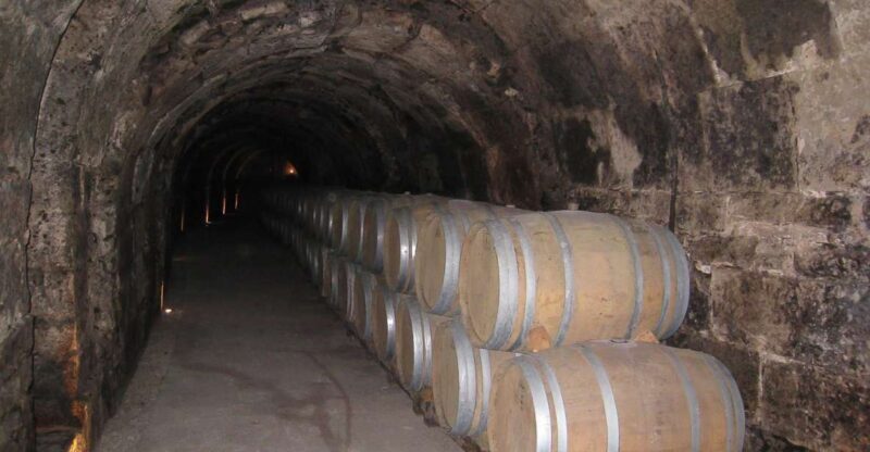 From Madrid: Ribera del Duero Tour of 3 Wineries w/ Tastings - Who Will Love This Tour?