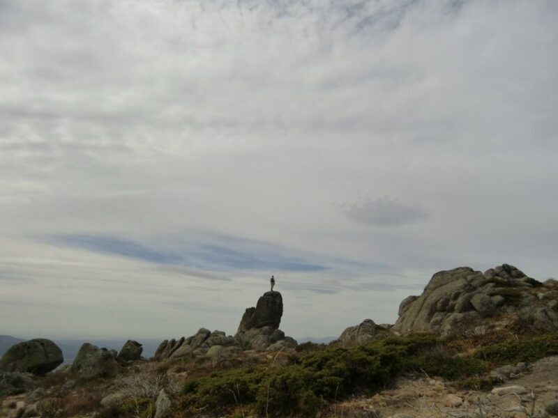 From Madrid: Sierra de Guadarrama Hiking Day Trip - Key Points