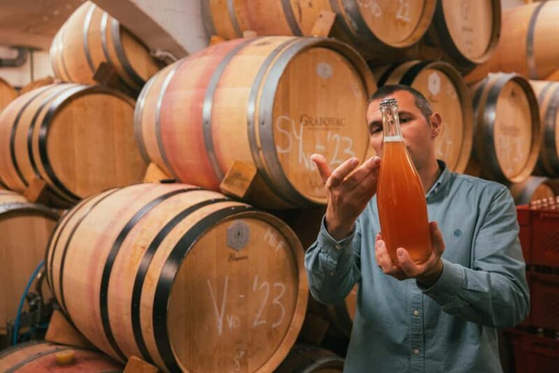 From Makarska Riviera : Wine Tasting Grabovac Tour - A Deep Dive into the Tour Experience