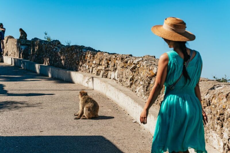 From Malaga and Costa del Sol: Gibraltar Tour - Who Will Love This Tour?