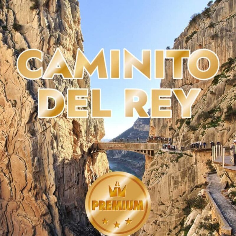 From Malaga: Caminito del Rey all included - Key Points