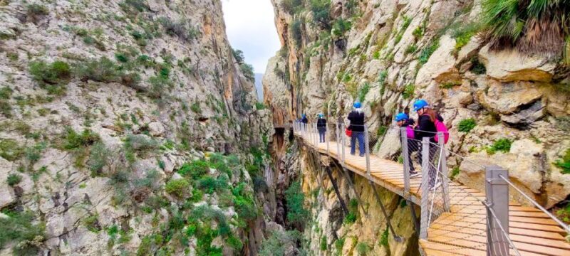 From Málaga: Caminito del Rey Guided Day Trip - What the Tour Entails: A Complete Breakdown