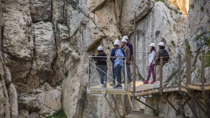 From Malaga: Caminito del Rey Guided Tour with Tickets - The Experience: What to Expect